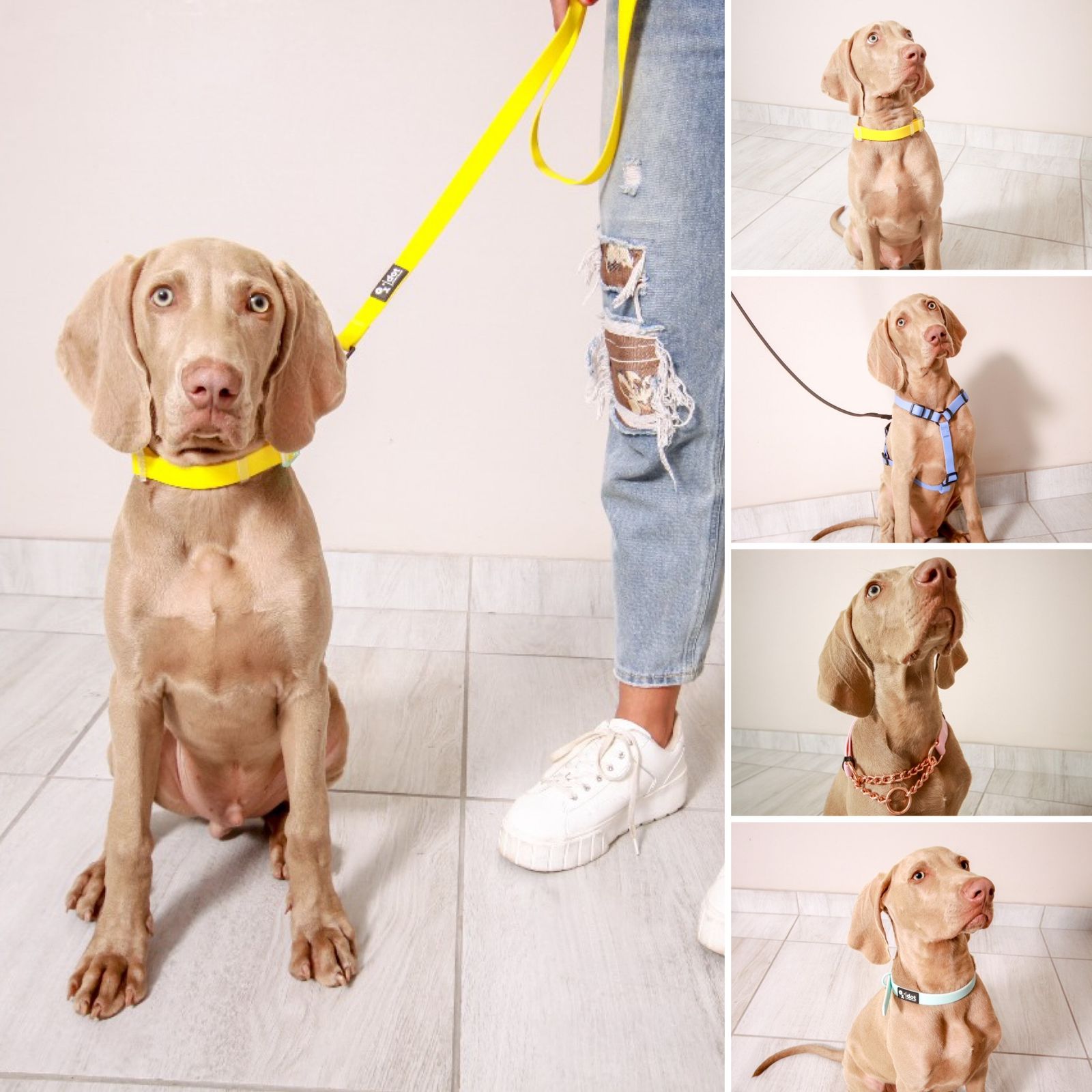 Dot Gear Shop – Pet Gear and Accessories